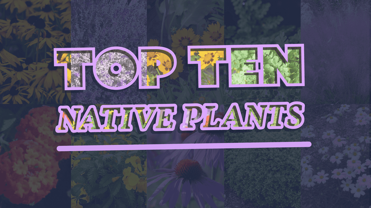 Welcome to Harris County MUD 167 / Harris County MUD 167